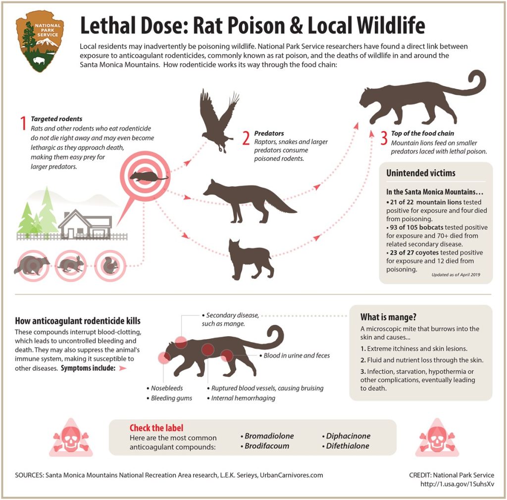 Risks of Rodenticides - Hidden Hills